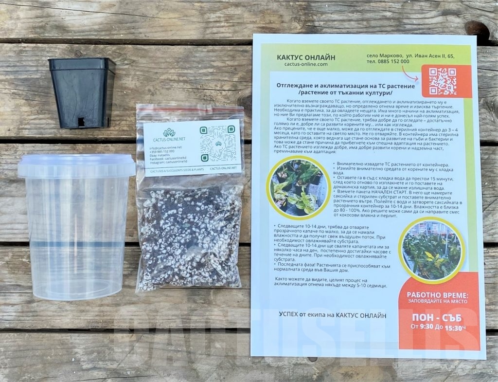 SF015 Tropical Rooting Kit – Кактус онлайн